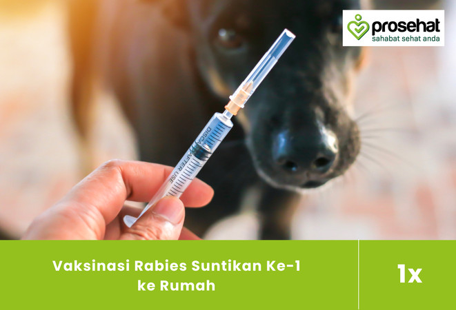Home Care Paket Vaksinasi Rabies Suntikan Ke -1 di Klinik Kasih | HDmall